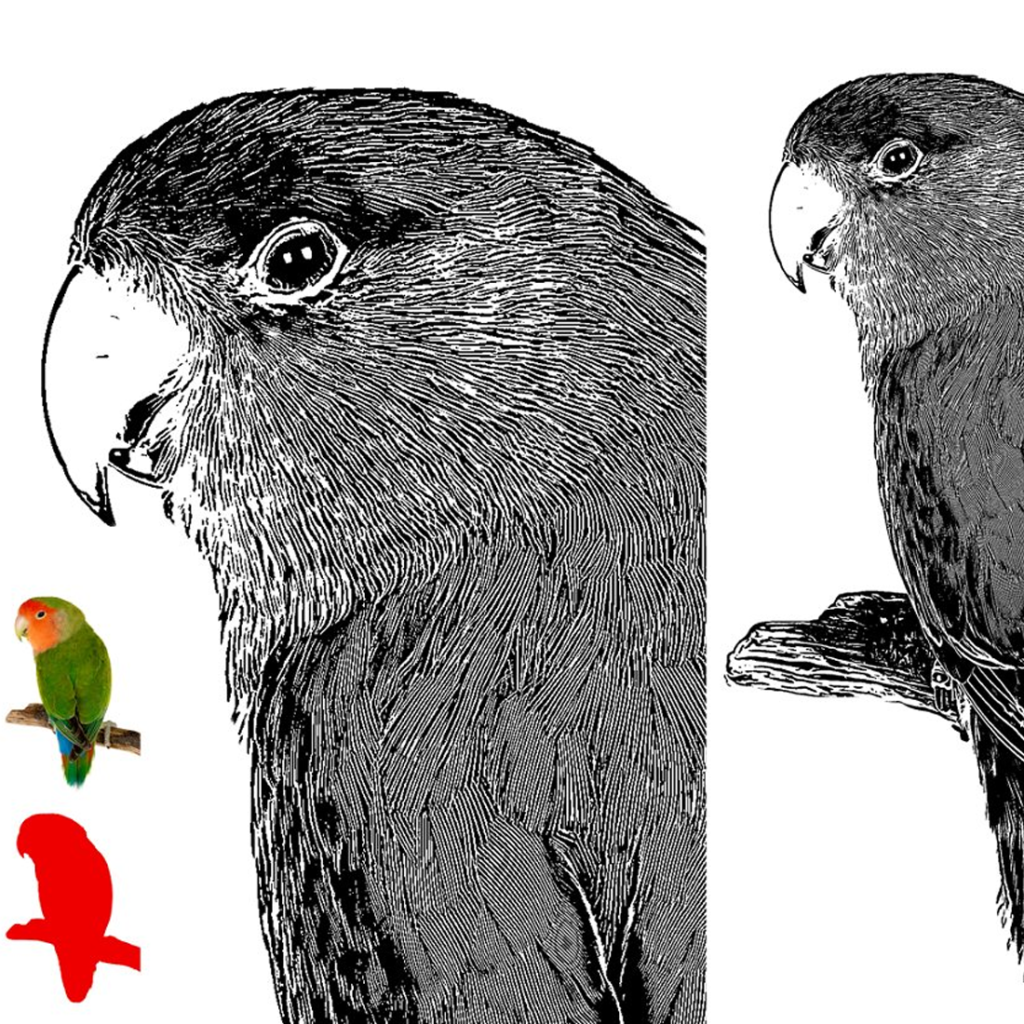 Vector Tracing Photoshop Action – MasterBundles