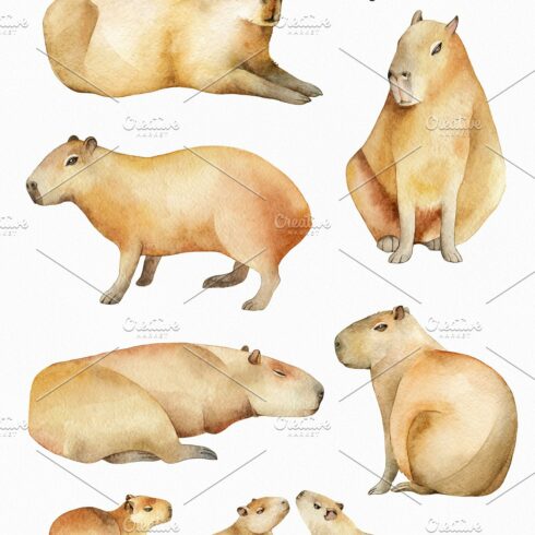 Capybaras Watercolor Set – MasterBundles