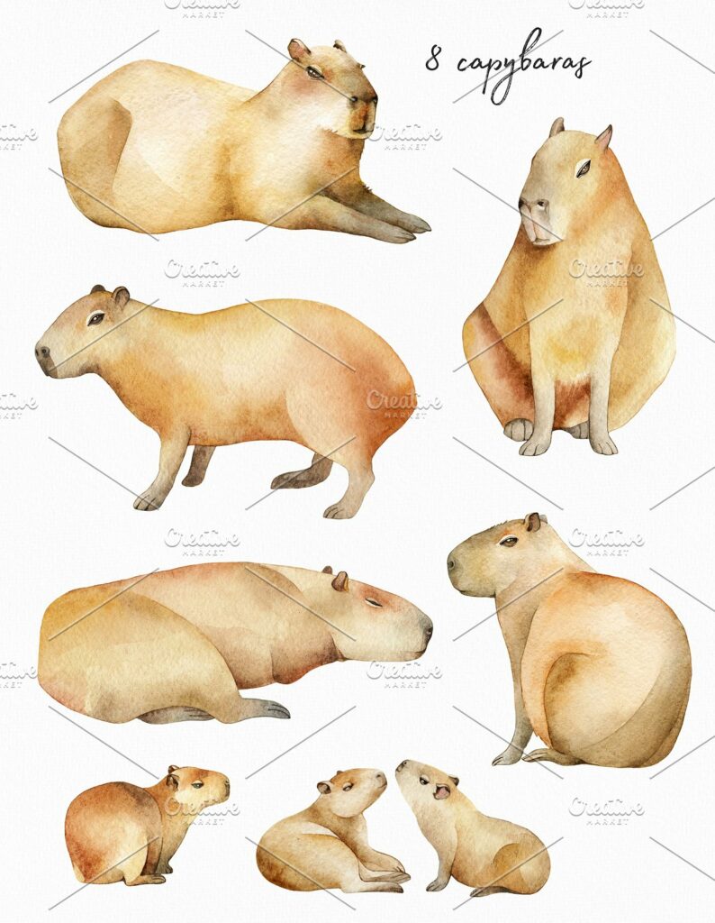 Capybaras Watercolor Set – MasterBundles