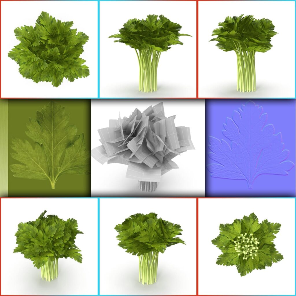 Celery Bunch – MasterBundles