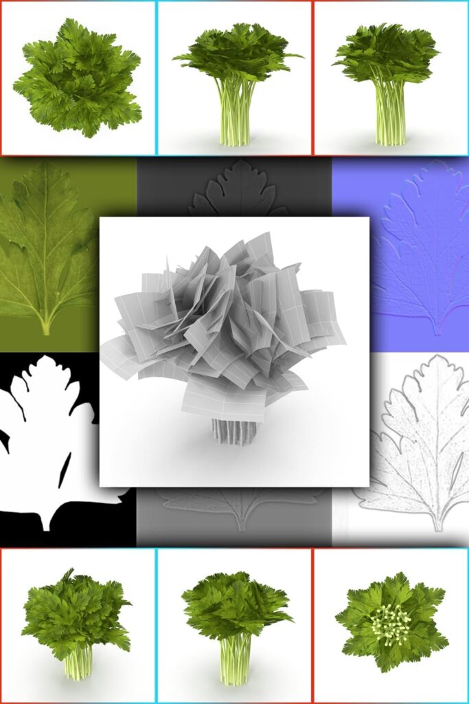 Celery Bunch – MasterBundles