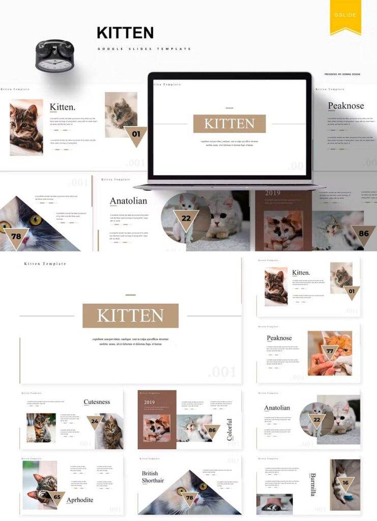 Kitten Google Slides Template – MasterBundles