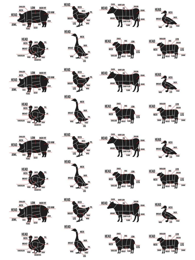 Meat Cuts Set. Diagrams Scheme – MasterBundles