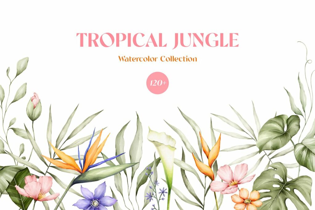 Tropical Jungle Watercolor Flowers – MasterBundles