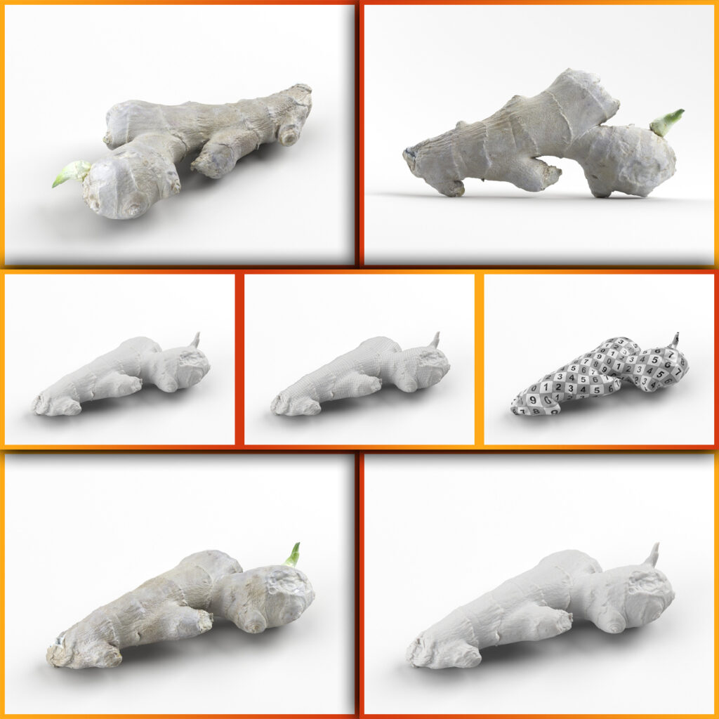 Photorealistic Ginger – MasterBundles