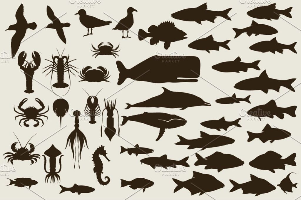 Over 80 Marine Elements Bundle – MasterBundles