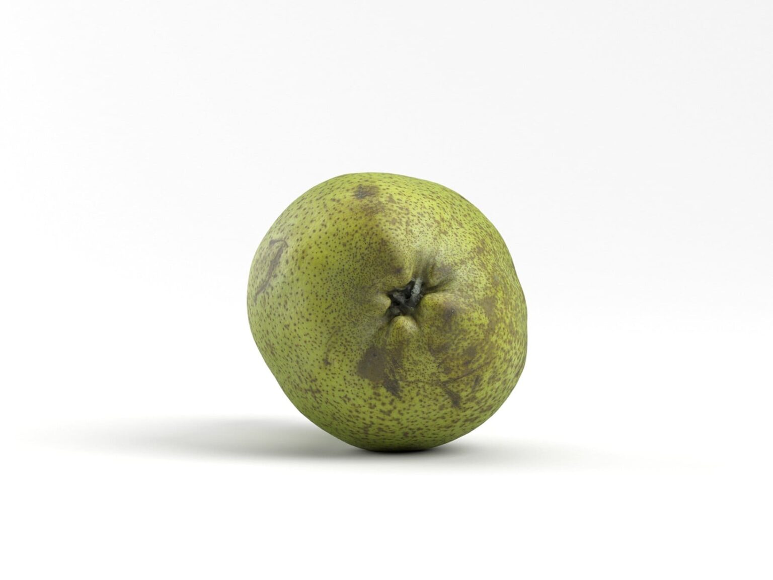 Photorealistic Pear – MasterBundles