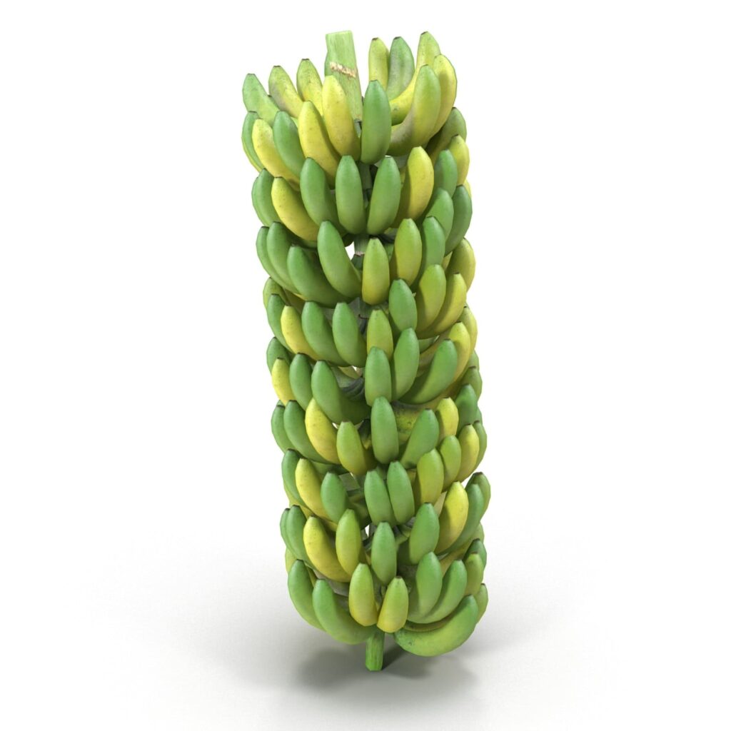 Bunch of Bananas – MasterBundles