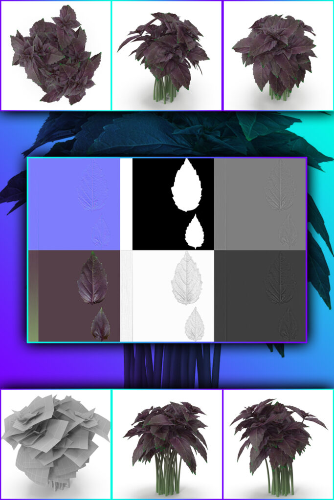 Opal Basil Bunch 3D Model – MasterBundles
