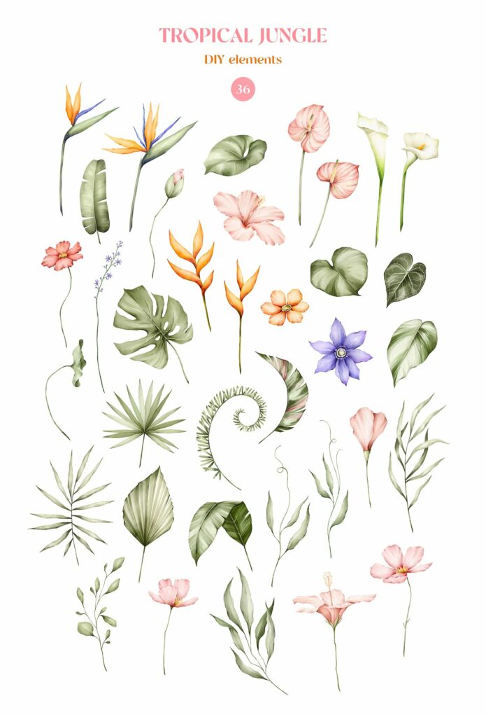 Tropical Jungle Watercolor Flowers – MasterBundles