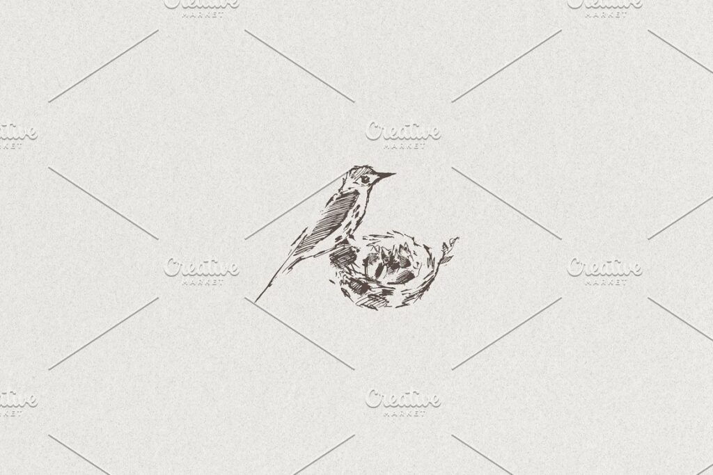 Collection Of Birds Drawings – MasterBundles