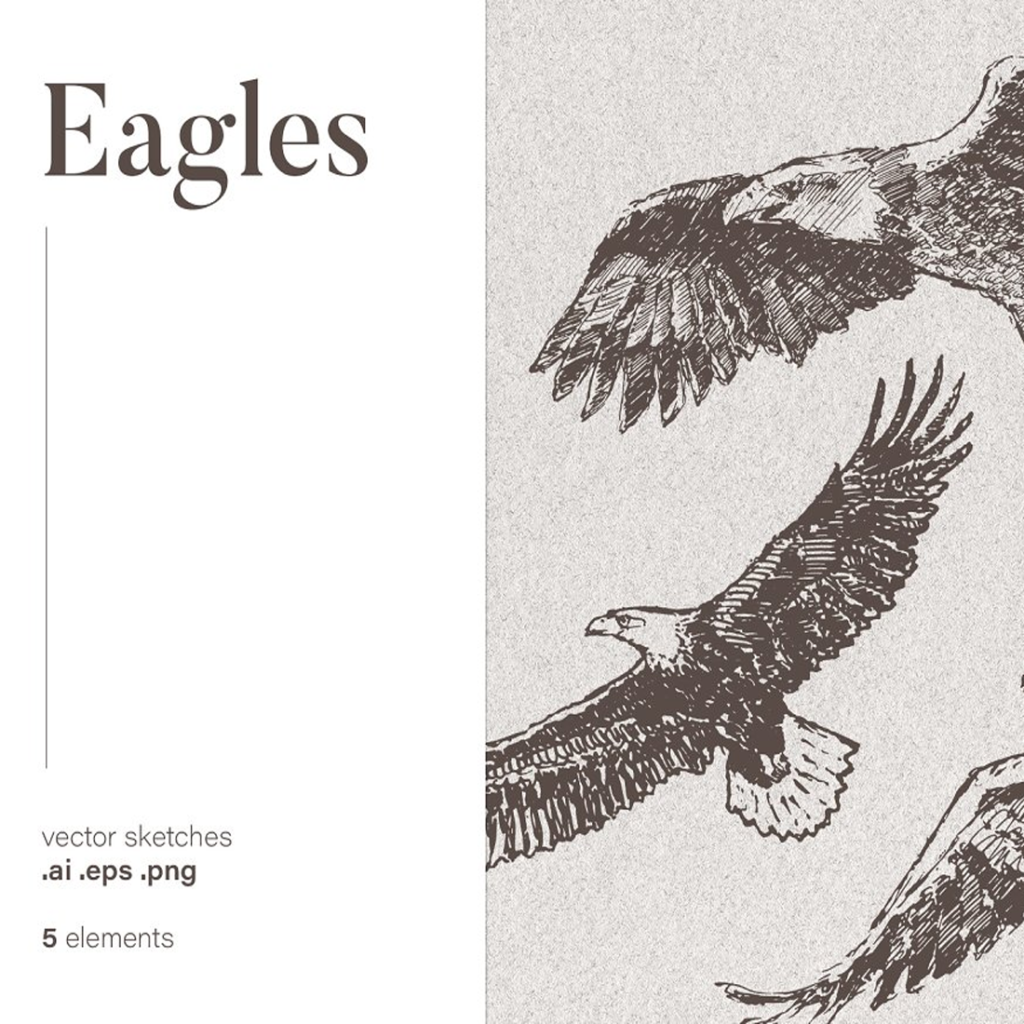 Collection Of Eagles Drawings – MasterBundles