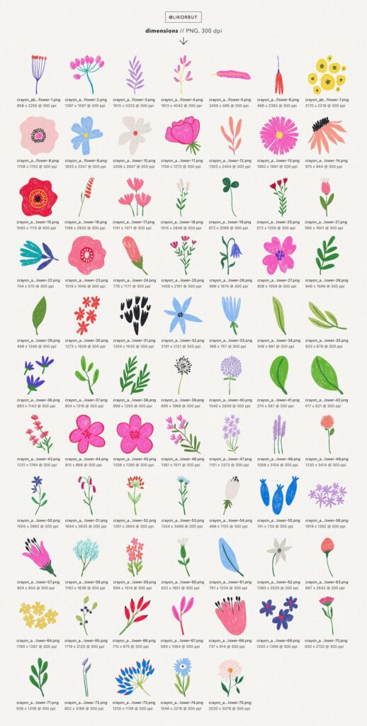 Crayon Abstract Modern Flowers – MasterBundles