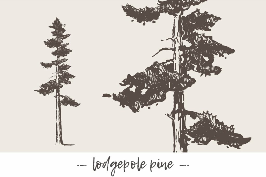 Big Collection Of High Detail Trees – MasterBundles