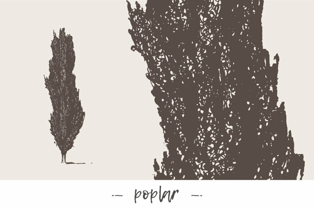 Big Collection Of High Detail Trees – MasterBundles