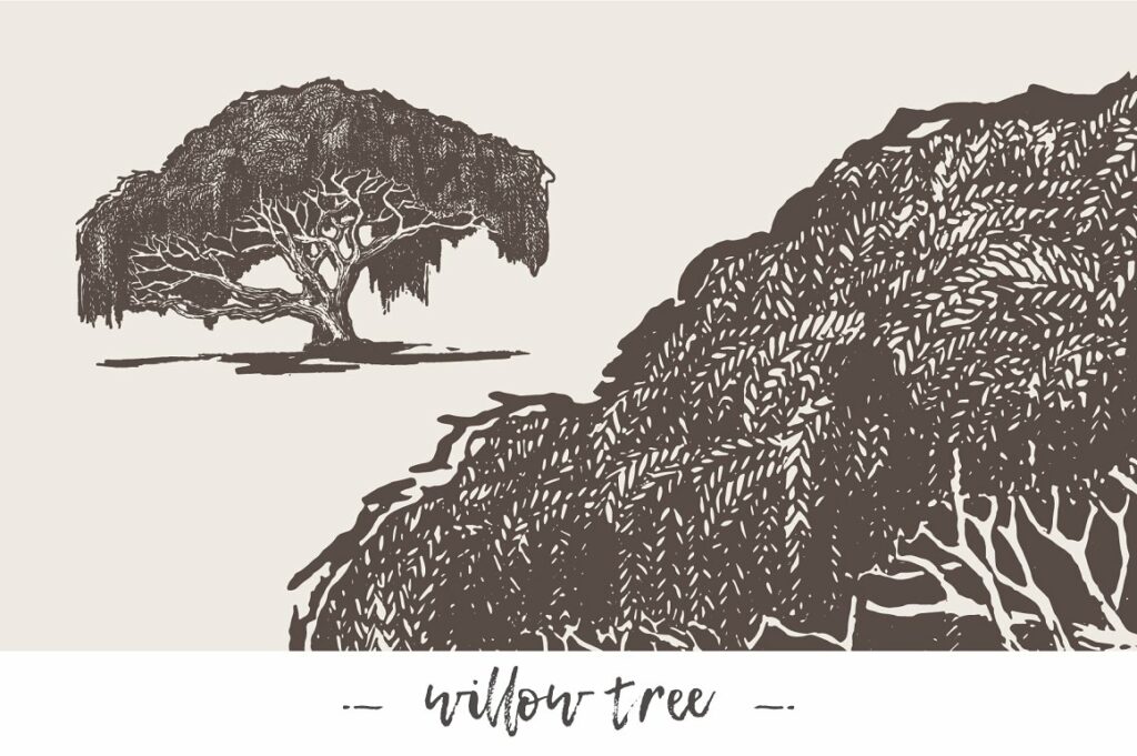 Big Collection Of High Detail Trees – MasterBundles