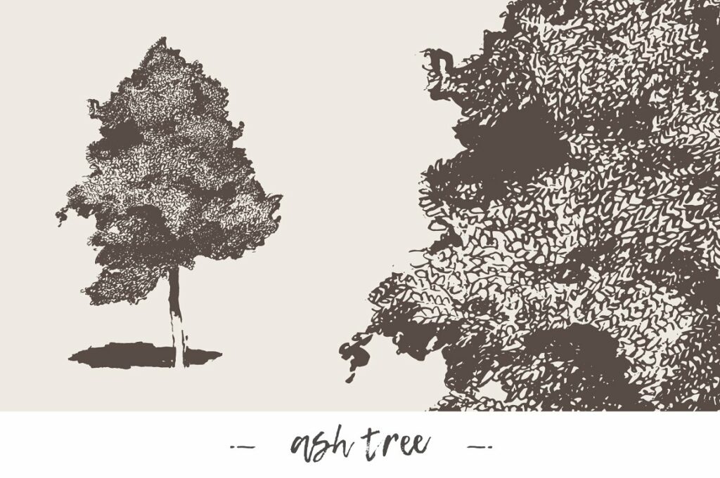 Big Collection Of High Detail Trees – MasterBundles