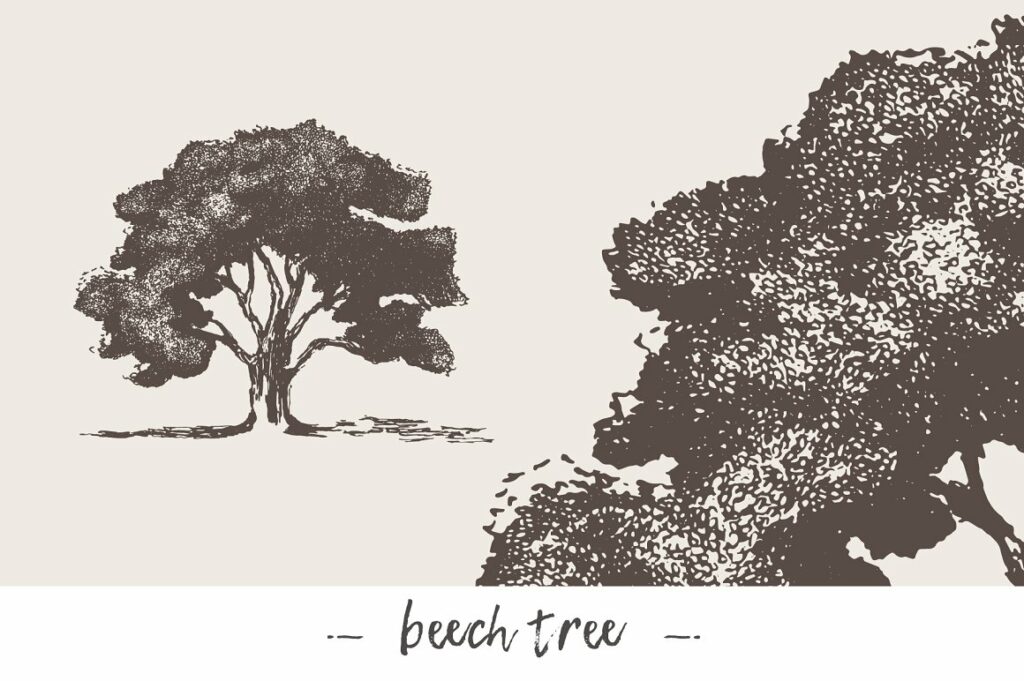 Big Collection Of High Detail Trees – MasterBundles