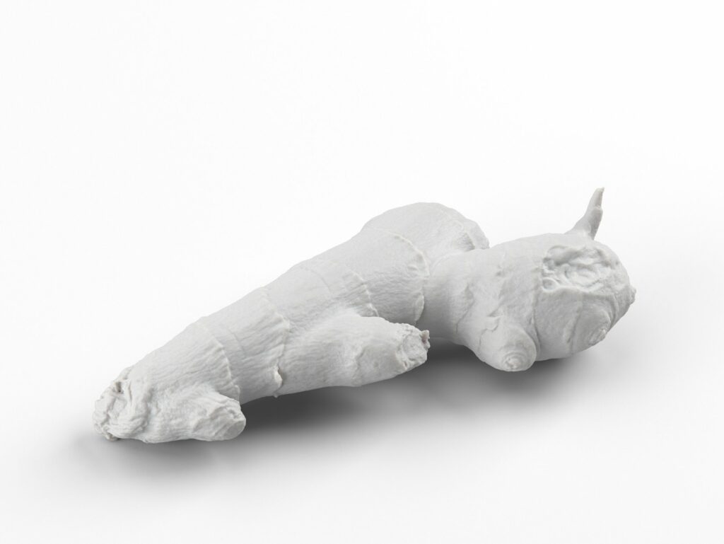 Photorealistic Ginger – MasterBundles