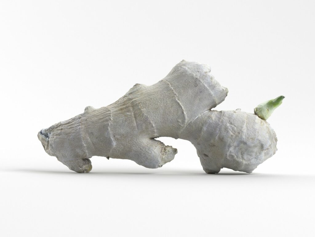 Photorealistic Ginger – MasterBundles