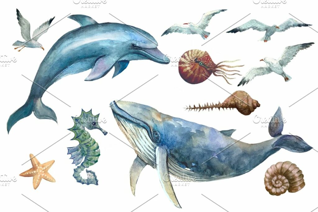 Watercolor Nautical Illustration – MasterBundles