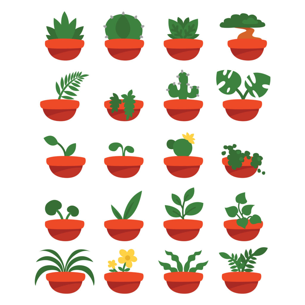 Indor Plants Set – MasterBundles