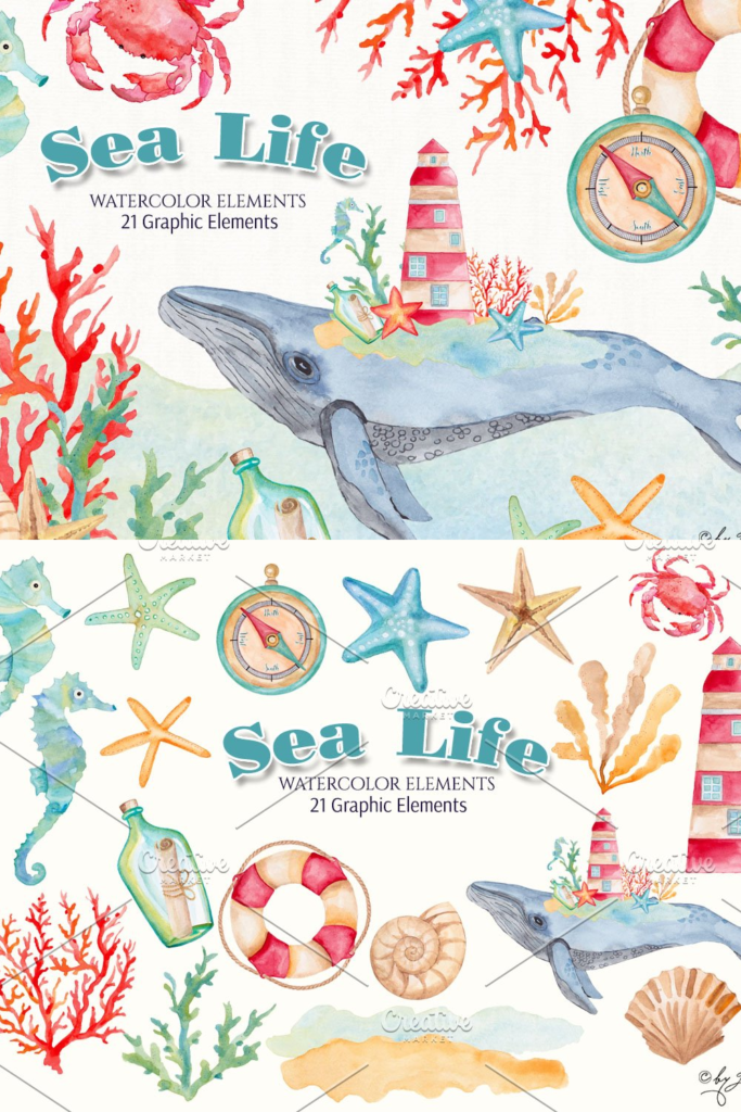Sea Life Watercolor – MasterBundles