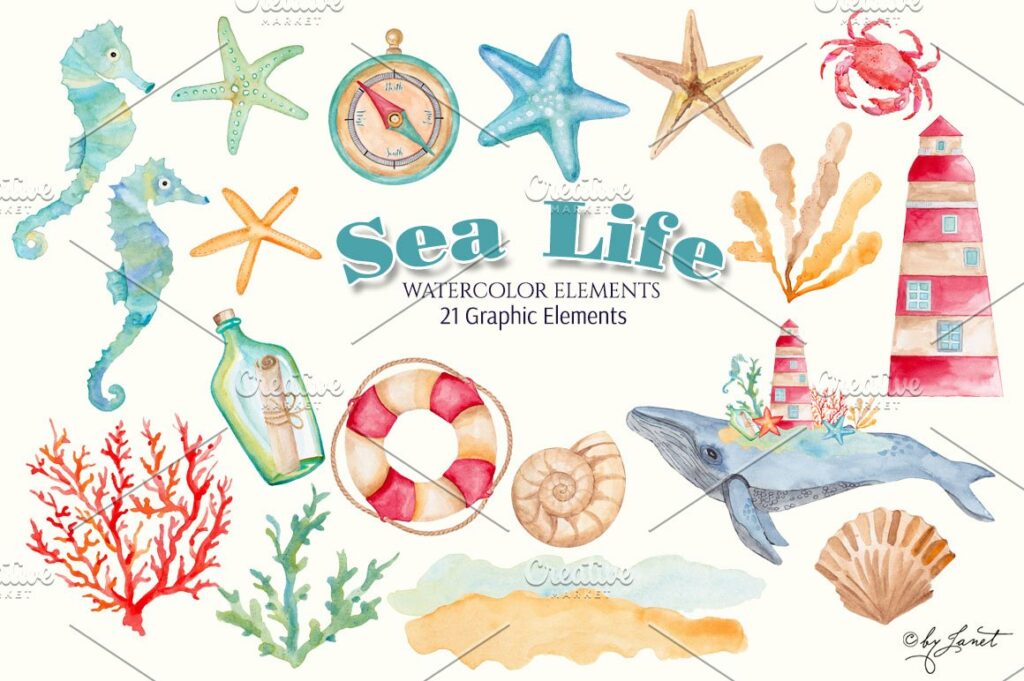 Sea Life Watercolor – MasterBundles
