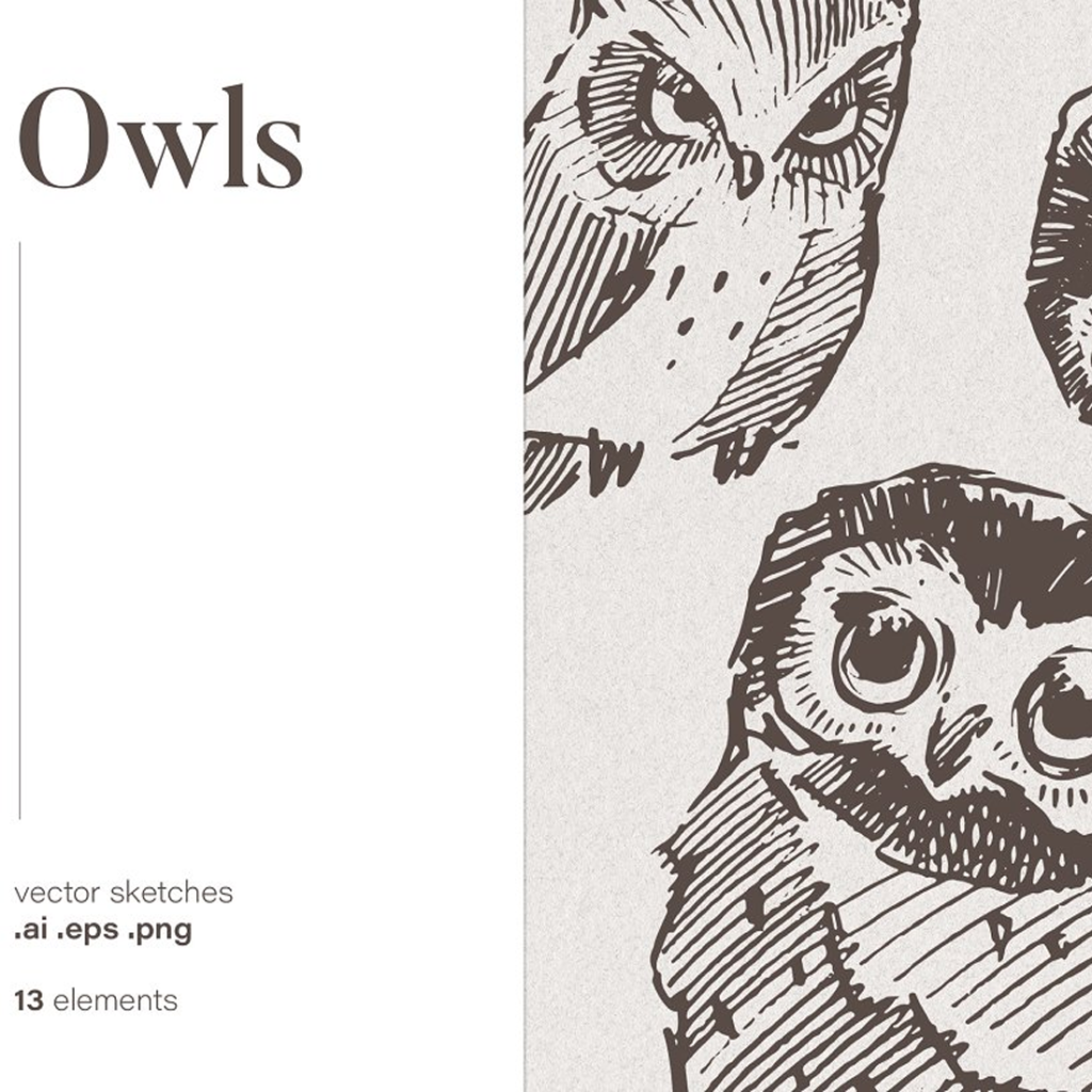 Set Of Owl Illustrations – MasterBundles