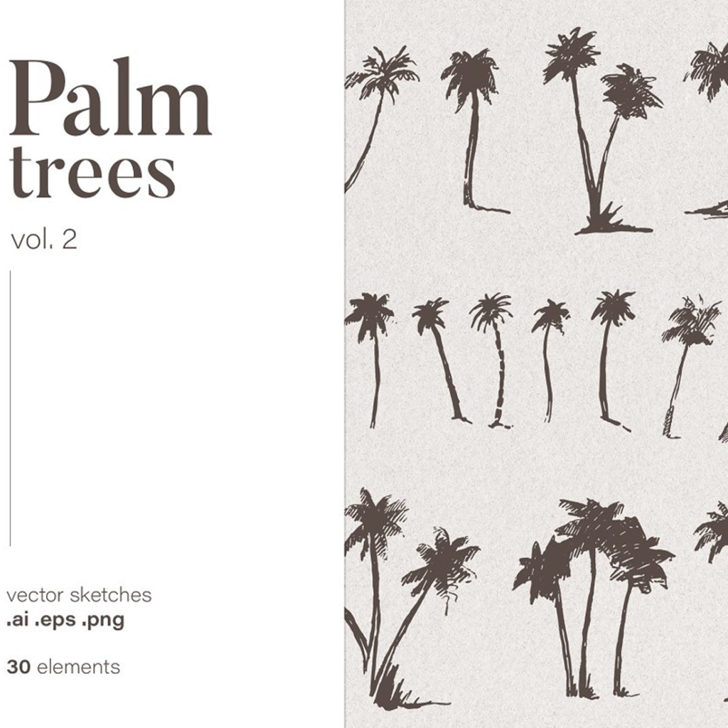 Silhouettes Of Pine And Fir Trees – MasterBundles