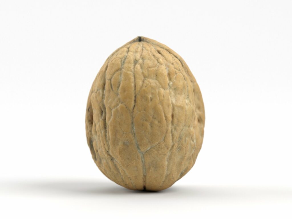 Photorealistic Walnut 01 – MasterBundles