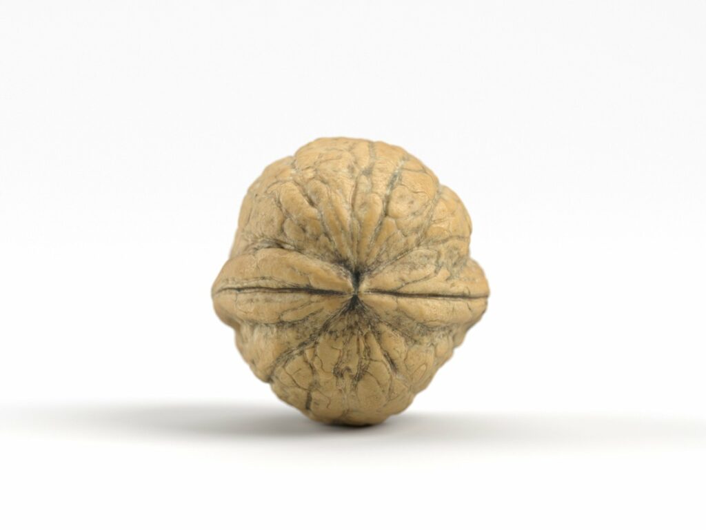 Photorealistic Walnut 01 – MasterBundles
