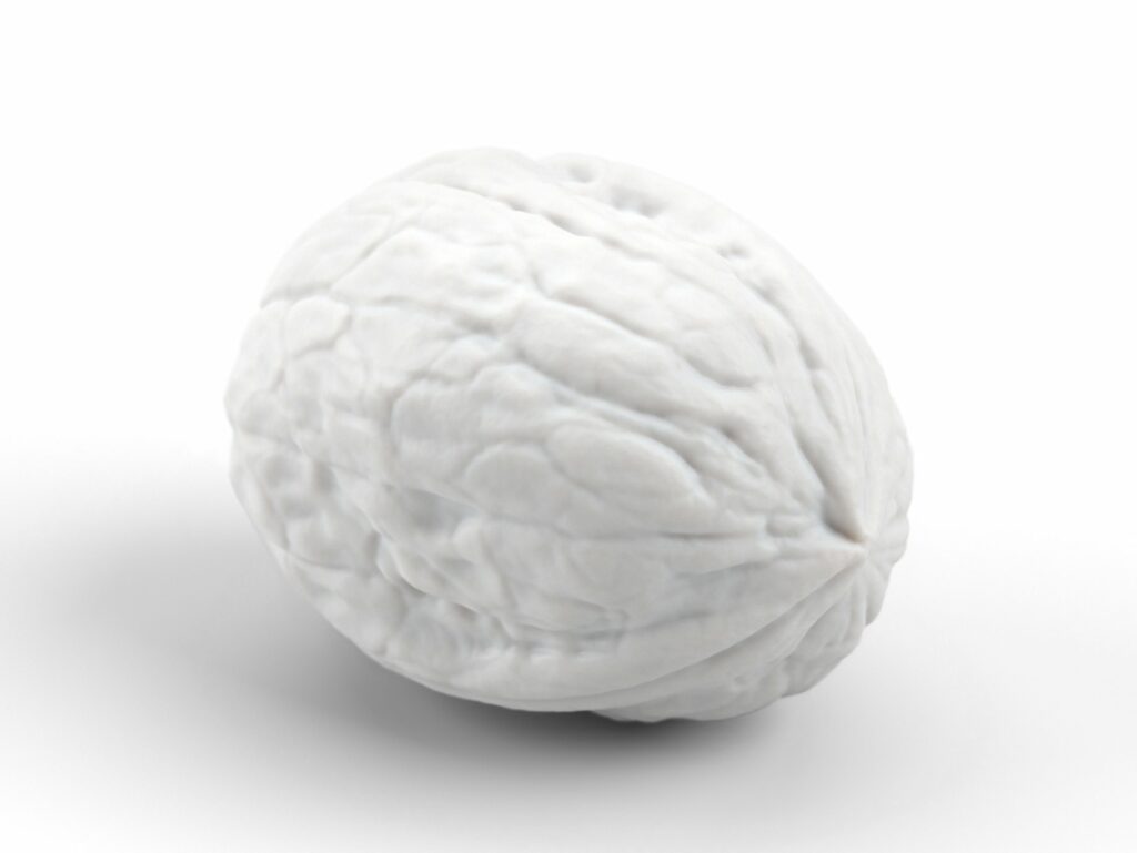 Photorealistic Walnut 01 – MasterBundles