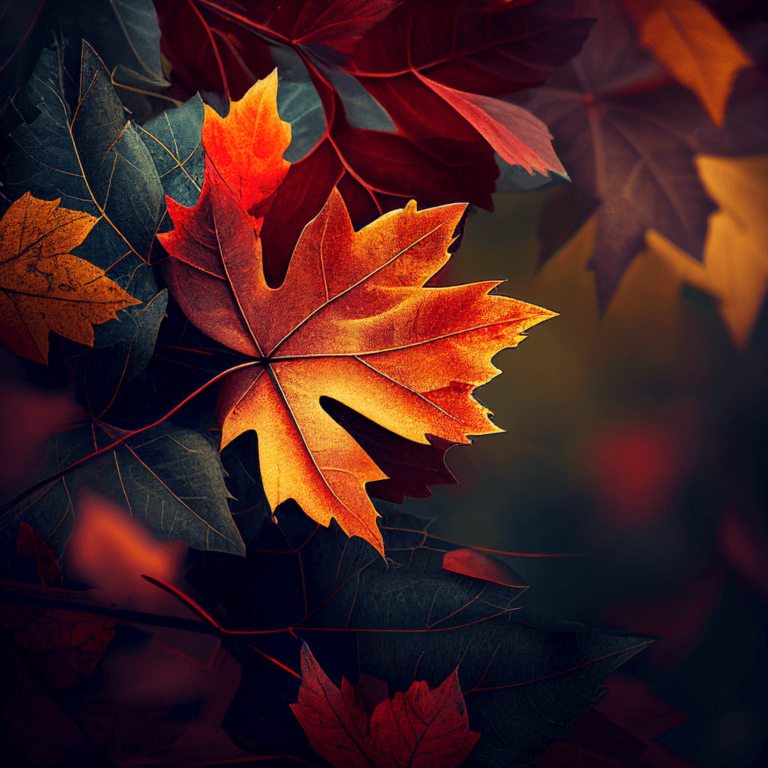 Free Fall Backgrounds – MasterBundles